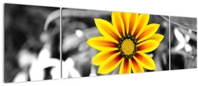 Obraz žluté květiny (170x50 cm)
