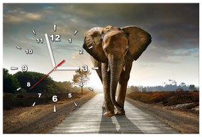 Gario Obraz s hodinami Osamělý silný slon Rozměry: 60 x 40 cm