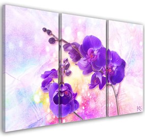 Obraz na plátně třídílný, Fialová orchidej - 60x40 cm