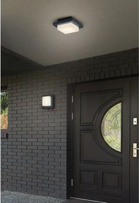 LED nástěnné venkovní svítidlo (výška 14 cm) Hondo – Trio