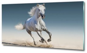 Wallmuralia Foto-obraz na skle horizontální Bílý kůň ve cvalu 100x50