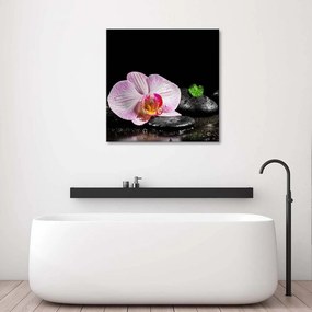 Obraz na plátně Zenová orchidej Květina - 50x50 cm