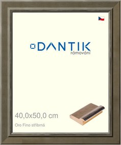 DANTIK rámeček 40x50 | Oro Fino stříbrná (Sklo Čiré)