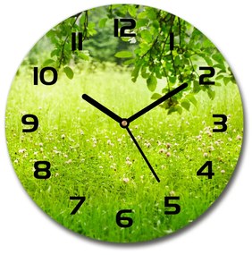 Wallmuralia Skleněné hodiny na stěnu Zelená louka fi 30 cm