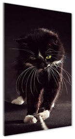 Wallmuralia Vertikální Foto obraz sklo tvrzené Černá kočka 50x100