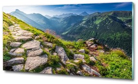 Wallmuralia Foto obraz fotografie na skle Východ slunde Tatry 100x50