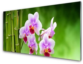 Plexisklo-obraz Bambus Orchidej Květiny Zen 125x50 cm