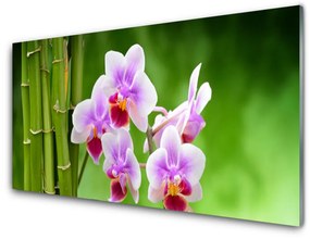 Plexisklo-obraz Bambus Orchidej Květiny Zen 120x60 cm