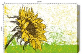 Obraz Tažená Slunečnice V Retro Stylu Nedostatek Nedostatek Plátno Canvas 100x70