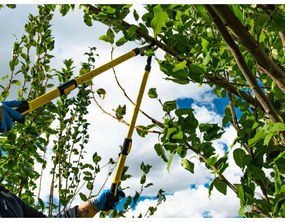 Nůžky na větve teleskopické pákové GEKO, 655-900 mm