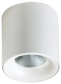 LED bodové světlo Mane 10W 4000K bílé