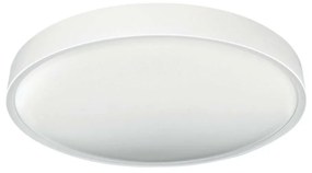 Greenlux | LED Stropní svítidlo SAMER LED/24W/230V 4000K | GXLS362