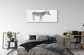 akrylový obraz malované zebra 120x60 cm