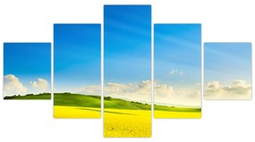 Obraz - Jarní nebe (125x70 cm)