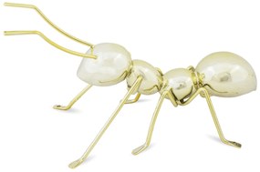 Zlatý mravenec 114587