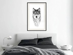 Plakát Sněžný vlk