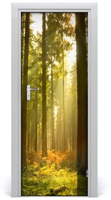 Fototapeta na dveře hezký les 75x205 cm