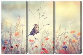 Vícedílný obraz Pták Mezi Divokými Květinami Nedostatek Nedostatek Plátno Canvas 120x80
