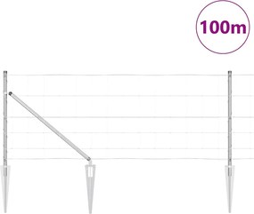 Svařované drátěné ploty s hroty 100 x 0,8 m Pozinkovaná ocel 3351468