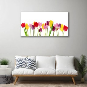 Obraz na plátně Tulipány Květiny Rostlina 140x70 cm