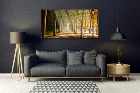 akrylový obraz Park Alej Krajina 120x60 cm
