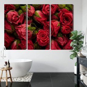 Vícedílný obraz Růže S Kapkami Vody Nedostatek Nedostatek Přírodní plátno 180x120