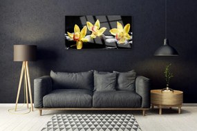 Obraz na skle Květ Kameny Rostlina 100x50 cm