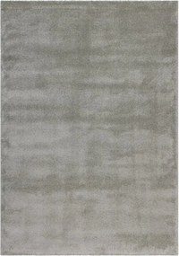 Kusový koberec Softtouch 700 silber 80 x 150  cm