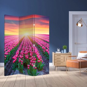 Paraván - Pole tulipánů se sluncem (126x170 cm)