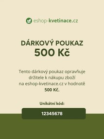 Dárkový poukaz - 500 Kč