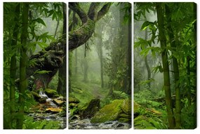 Vícedílný obraz Zeleň Deštného Pralesa Nedostatek Nedostatek Přírodní plátno 60x40