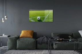 Obraz na skle Fotbalový stadion trávy 125x50 cm