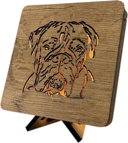 Li-Go "Boxer" lampa 19x19 cm provedení povrchu: dub světlý
