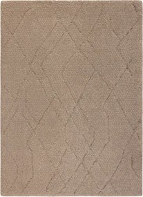 Koberec DUNE WOOL 497 03 TM620 hnědý