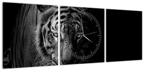 Obraz divokého tygra (s hodinami) (90x30 cm)