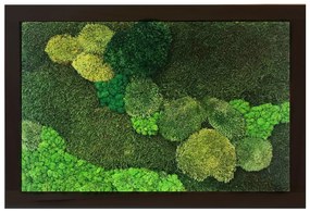 Mechový obraz|kombinace mechů Rozměr obrazu: 70x50 cm, Barva rámu: Ořech tmavý (mořená borovice), Síla rámu (pohledová): 3,7 cm