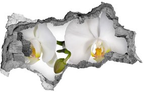Wallmuralia Samolepící nálepka fototapeta Orchidej 95x73 cm
