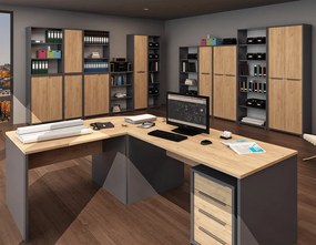 Komoda s šuplíky, grafit / dub artisan, RIOMA NEW TYP 22