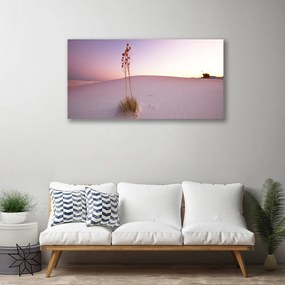 Obraz na plátně Poušť Písek Krajina 120x60 cm