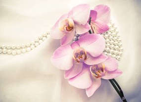 Malvis ® Tapeta Orchidej a perly Vel. (šířka x výška): 288 x 200 cm