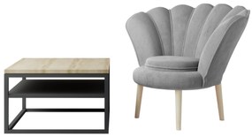 Set do obývacího pokoje křeslo Lupe + stolek Vivien Materiál / Dekor: Sonoma