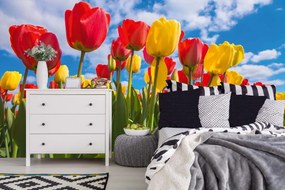 DIMEX | Samolepicí vliesová fototapeta na zeď Jarní pole tulipánů MA-5-1379 | 375 x 250 cm | zelená, modrá, červená, žlutá