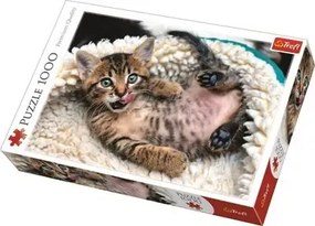 Trefl - Puzzle - Veselé kotě / 1000 dílků / 68.3 x 48 cm / věk 12+