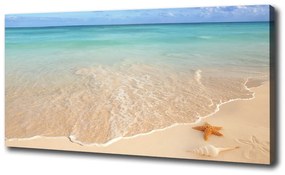 Wallmuralia Foto obraz na plátně Hvězdice na pláži 100x50