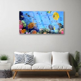 Obraz na skle Korálový Útes Ryba Příroda 140x70 cm