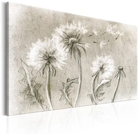 Obraz - Dandelions (Pencil Artwork)