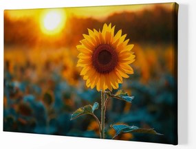 Obraz na plátně - Slunečnice v krásném západu slunce FeelHappy.cz Velikost obrazu: 40 x 30 cm