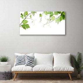 Obraz na skle Větve Listy Příroda Květiny 140x70 cm