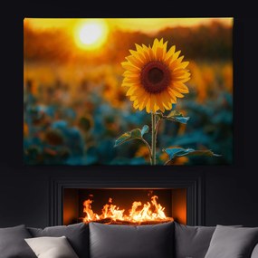 Obraz na plátně - Slunečnice v krásném západu slunce FeelHappy.cz Velikost obrazu: 120 x 80 cm