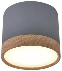 Candellux | LED Stropní svítidlo TUBA LED/9W/230V | CA0398